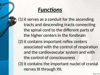 neuroanatomy of brainstem: pons, medulla and midbrain | PPTX