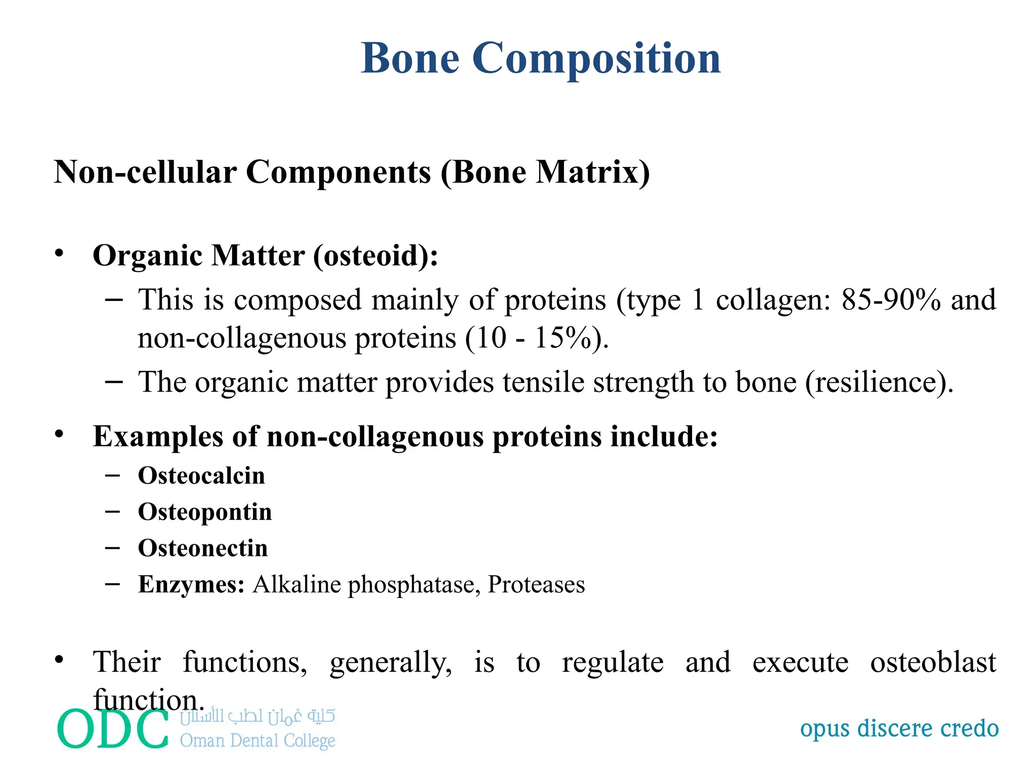 6. introduction Bone and Teeth Metabolism 2.pptx