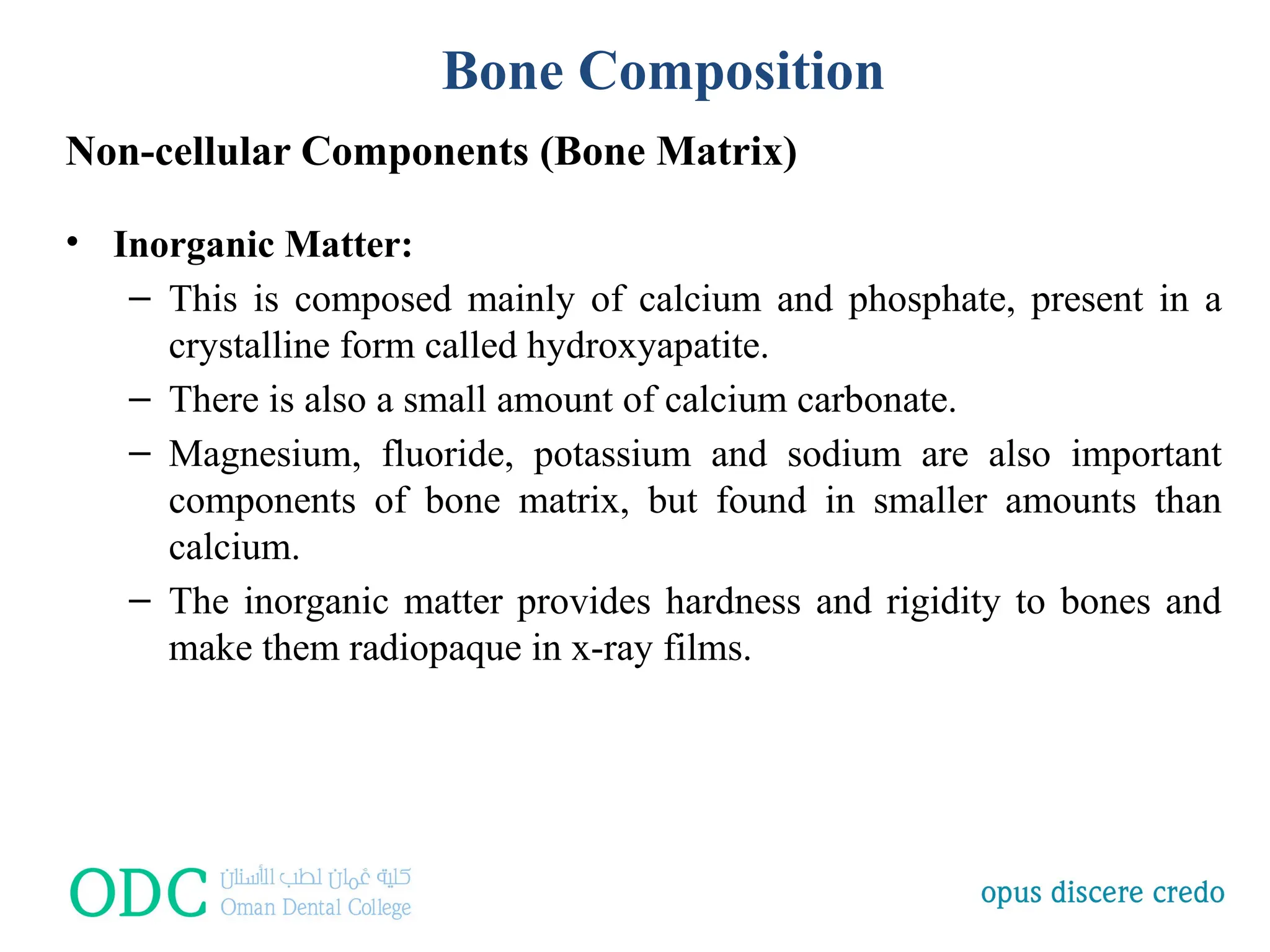 6. introduction Bone and Teeth Metabolism 2.pptx
