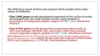 6.the major histocompatility complex.pptx
