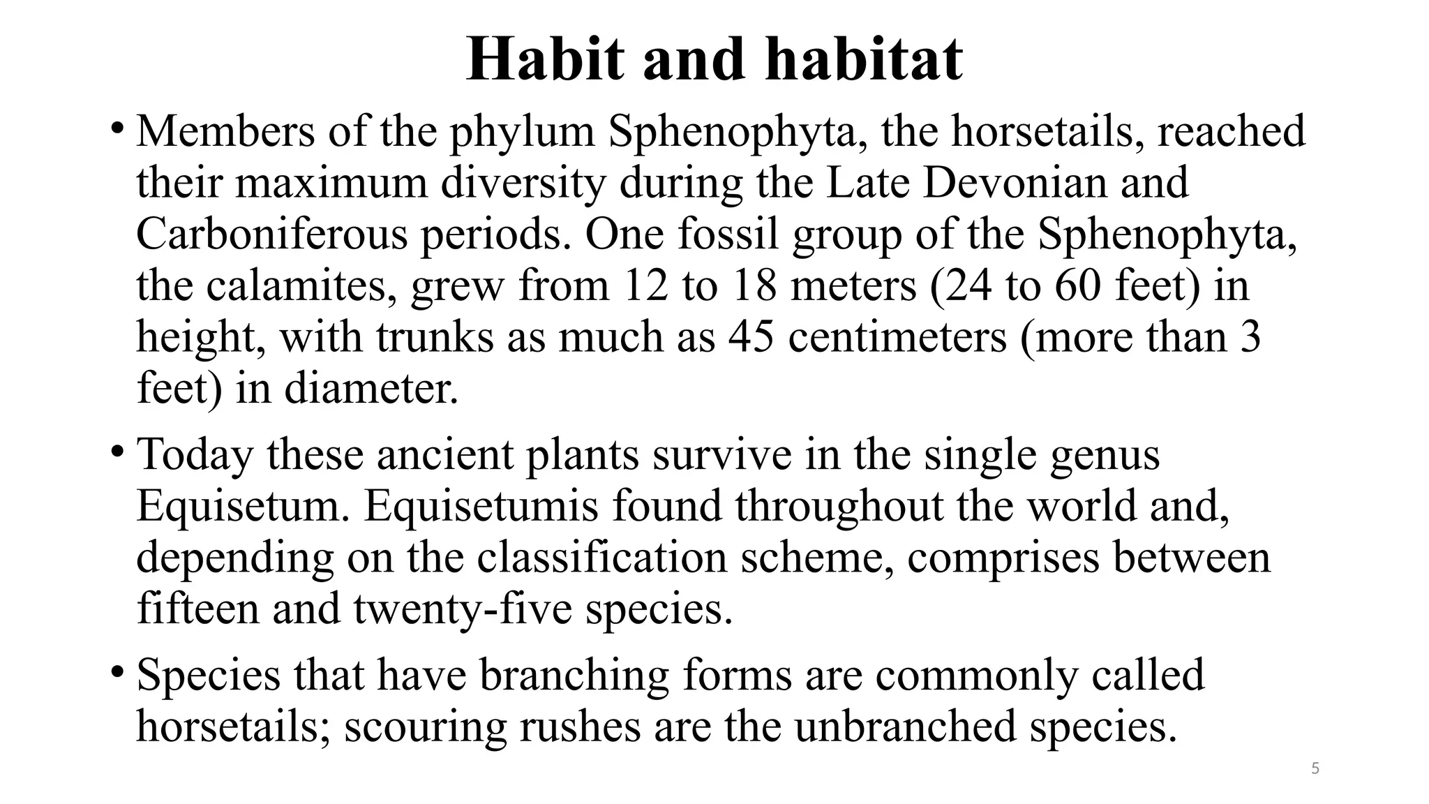 equisetum diversity of vascular plants.pptx
