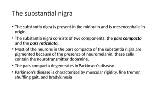 6. The Anatomy of the Basal Ganglia.pptx