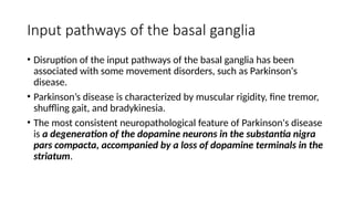 6. The Anatomy of the Basal Ganglia.pptx