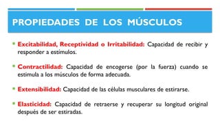 Anatomía y Fisiología del Sistema Muscular | PPTX