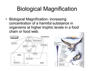 6 3 biodiversity[1] | PPT