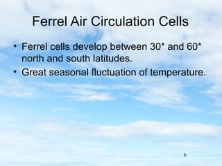 6.3 circulation cells | PPT