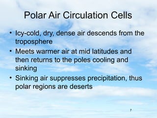 6.3 circulation cells | PPT