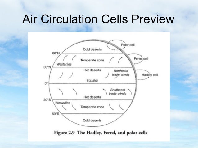 6.3 circulation cells