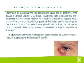 6. 3 obstrucció llag dacriocistitis 1 | PPT