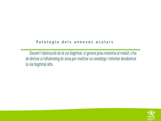 6. 3 obstrucció llag dacriocistitis 1 | PPT