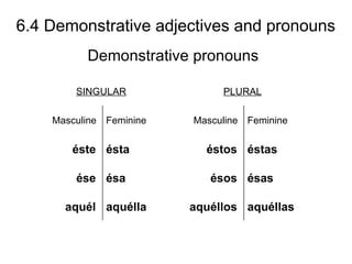 6.4 Demonstrative adjectives and pronouns | PPT