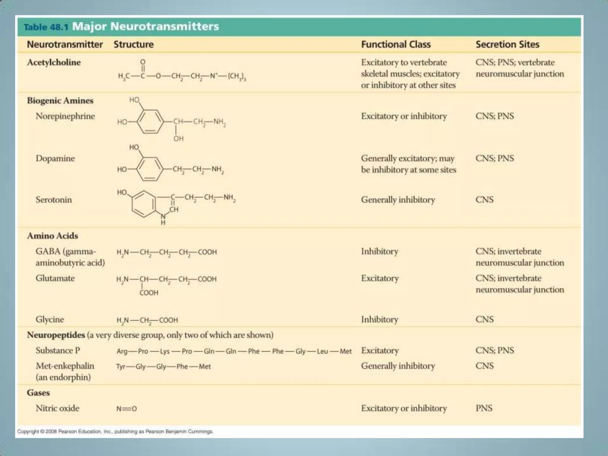 6.5 Nerves, Hormones And Homeostasis PPT | PPTX