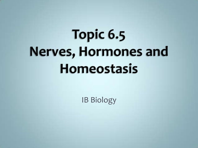 6.5 Nerves, Hormones And Homeostasis PPT | PPTX