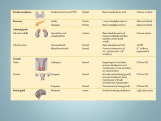6.5 Nerves, Hormones And Homeostasis PPT | PPTX