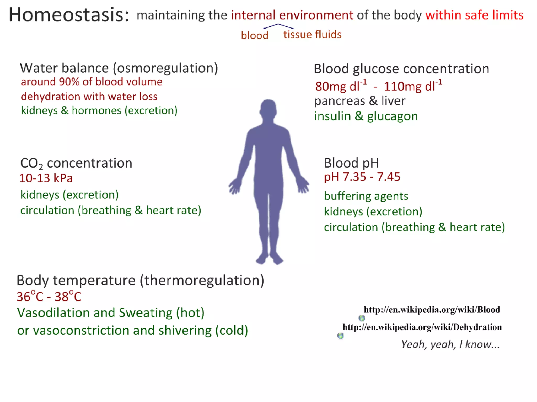6.5 Nerves, Hormones and Homeostasis | PPTX