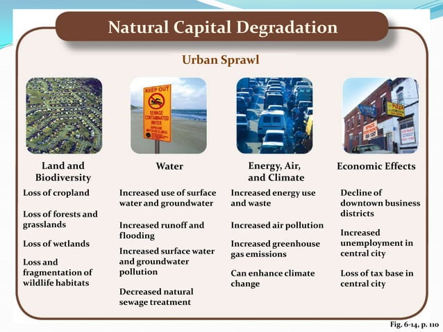 6 5 urbanization problems | PPT