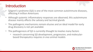 “A Chimeric Human-Mouse Model of Sjögren's Syndrome” | PPT