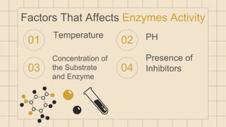 6-8Enzyme.pptx