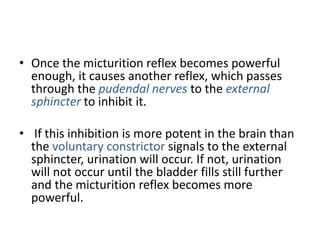 Bladder disorders(neurogenic) | PPTX