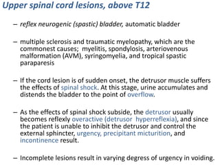 Bladder disorders(neurogenic) | PPTX