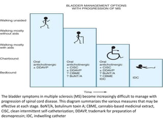 Bladder disorders(neurogenic) | PPTX
