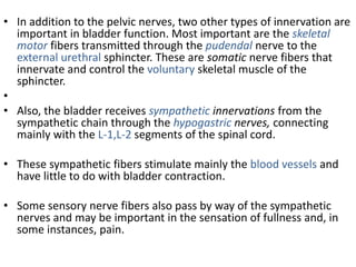 Bladder disorders(neurogenic) | PPTX