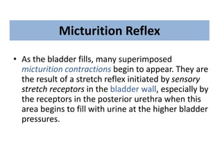 Bladder disorders(neurogenic) | PPT