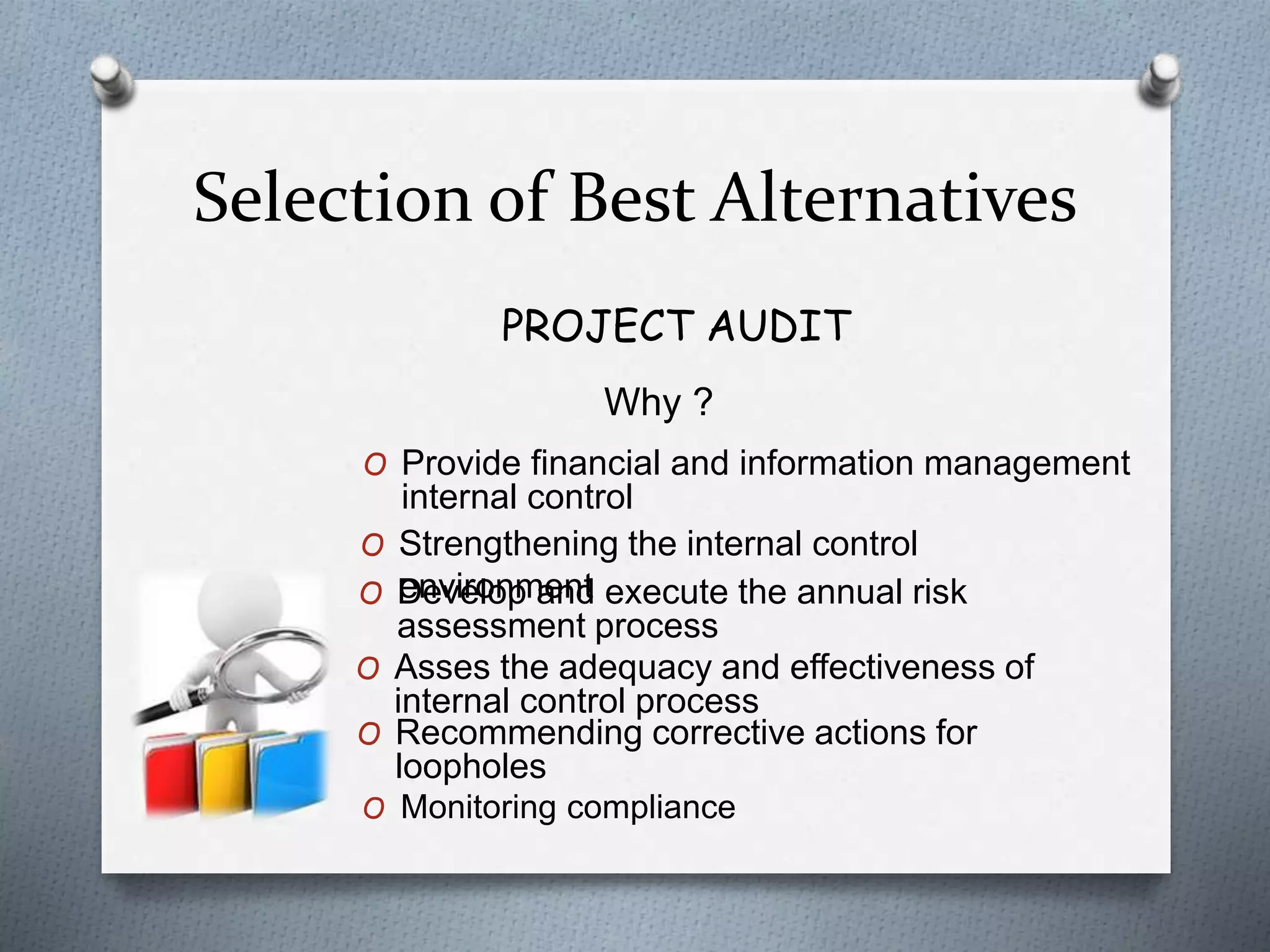 6 A Guide to Project Management Auditing Assessment and Recommendation ...