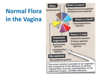 6-a-Normal_Flora.pptx
