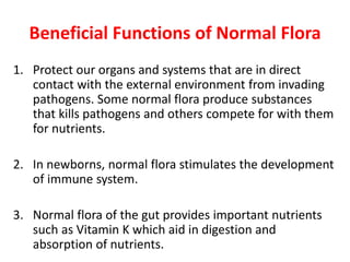 6-a-Normal_Flora.pptx