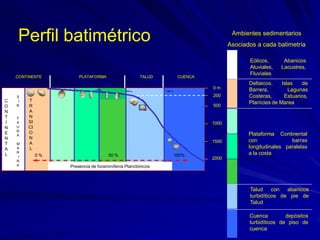 ambientes sedimentarios | PDF