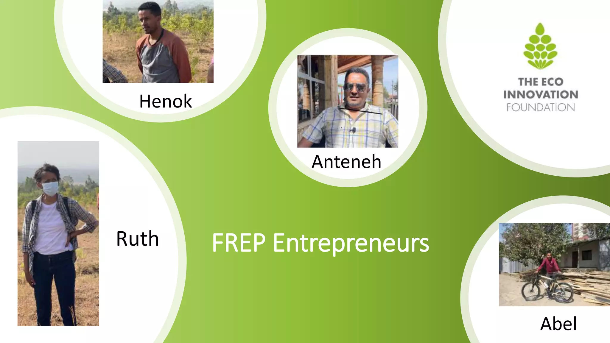 THE WOOD SOLUTION | PPT