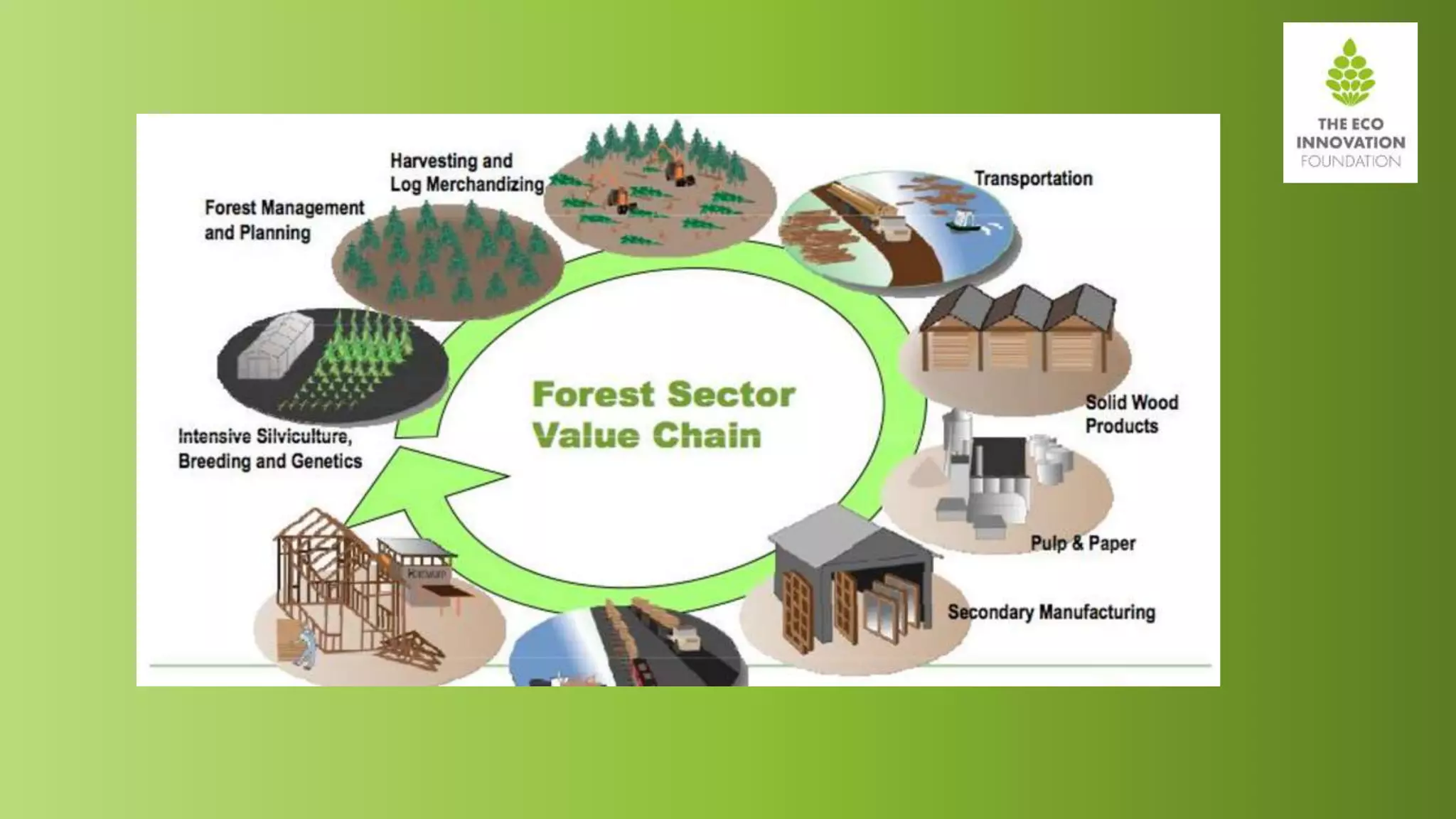 THE WOOD SOLUTION | PPTX