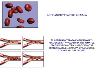 ΓΟΝΙΔΙΑΚΕΣ ΜΕΤΑΛΛΑΞΕΙΣ ΒΙΟΛΟΓΙΑ ΚΑΤΕΥΘΥΝΣΗΣ Γ ΛΥΚΕΙΟΥ | PPT