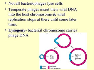An introduction to the viruses | PPS