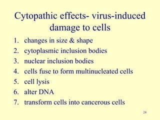 An introduction to the viruses | PPS | Infectious Diseases | Diseases ...