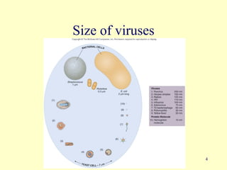 An introduction to the viruses | PPS | Infectious Diseases | Diseases ...