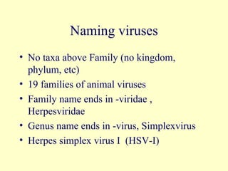 An introduction to the viruses | PPS