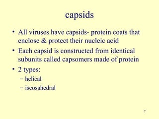 An introduction to the viruses | PPS | Infectious Diseases | Diseases ...