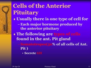 6 - Anterior Pituitary.ppt this covers pituitary hormones | PPT