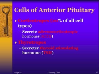 6 - Anterior Pituitary.ppt this covers pituitary hormones | PPT