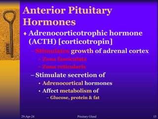 6 - Anterior Pituitary.ppt this covers pituitary hormones | PPT
