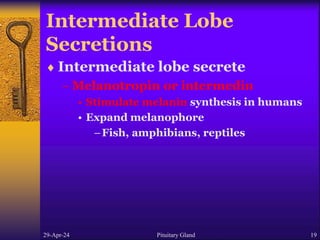 6 - Anterior Pituitary.ppt this covers pituitary hormones | PPT