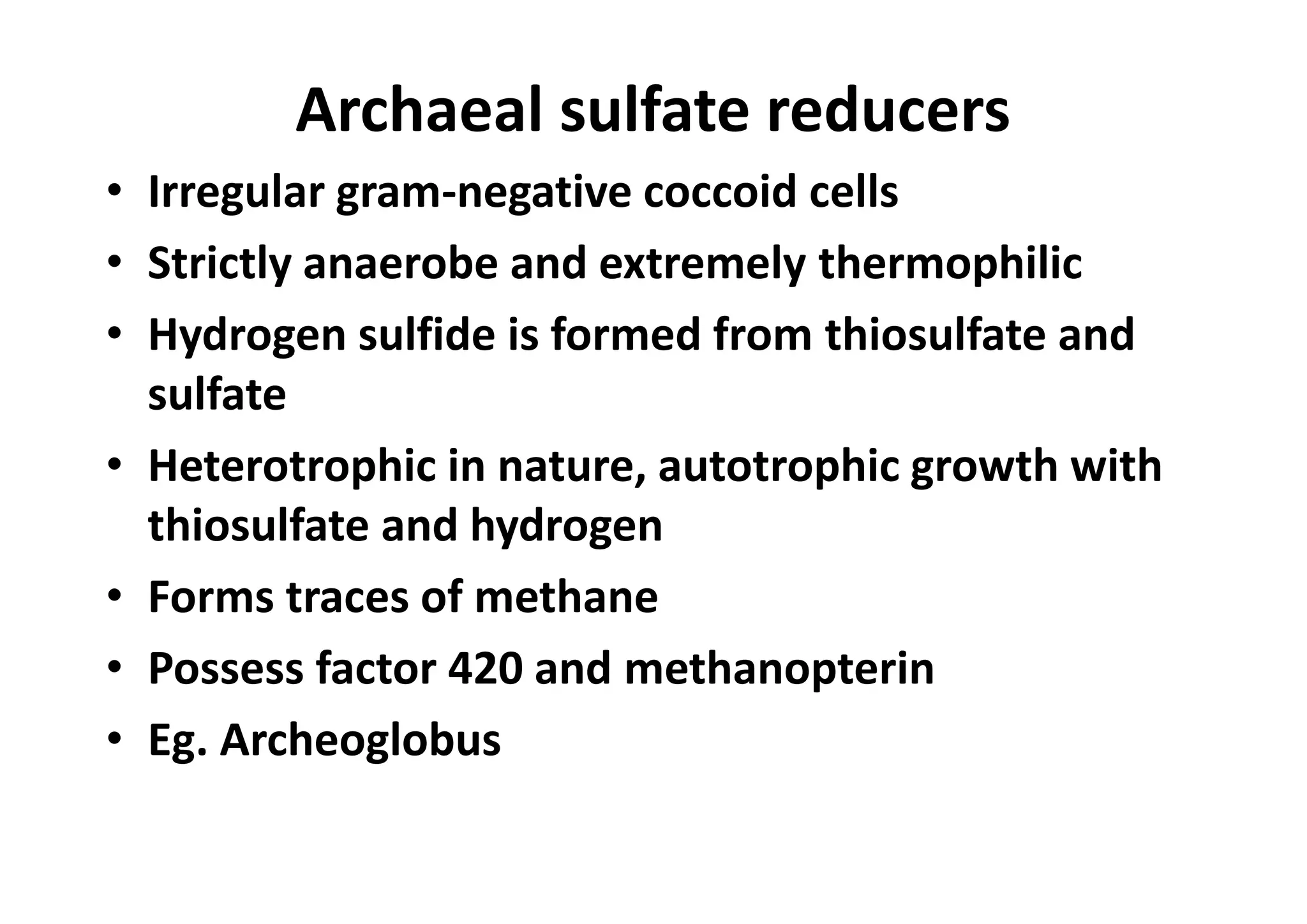 Archaea | PDF