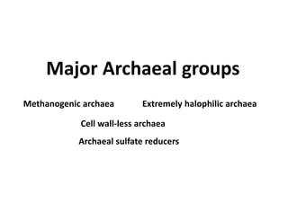 Archaea | PDF