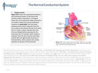 Cardiac Arrhythmias complete detailed lecture .pdf