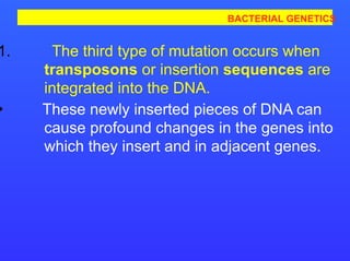 6-BACTERIAL GENETICS DNA AND RNA FOR MEDICAL STUDENT | PPT