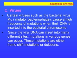 6-BACTERIAL GENETICS DNA AND RNA FOR MEDICAL STUDENT | PPT