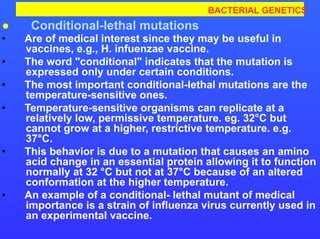 6-BACTERIAL GENETICS DNA AND RNA FOR MEDICAL STUDENT | PPT
