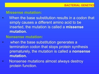 6-BACTERIAL GENETICS DNA AND RNA FOR MEDICAL STUDENT | PPT